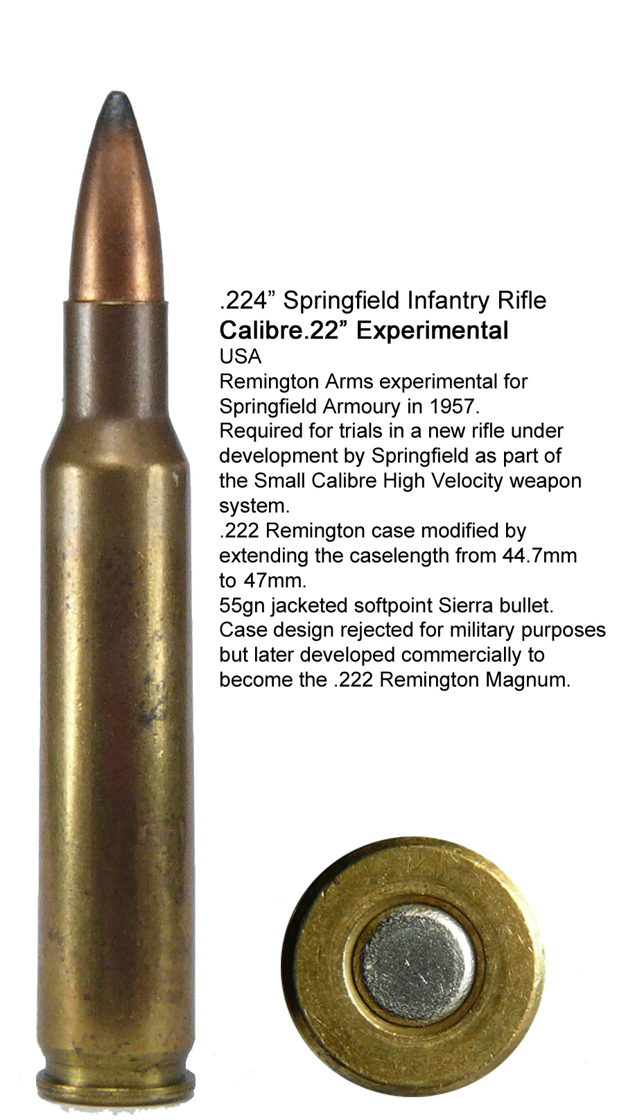 (018) .224″ Springfield Infantry Rifle – Military Cartridges